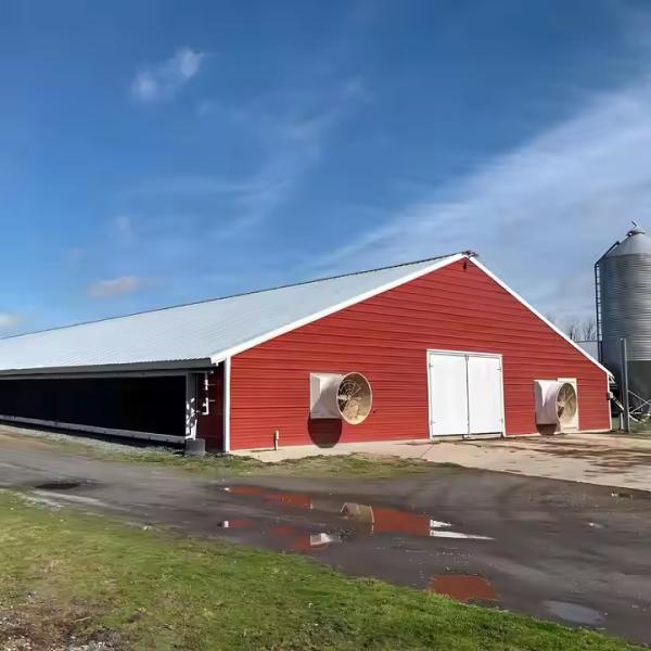 Quality Industrial Steel Structure Shed , Light Frame Steel Houses Easy Installation for sale