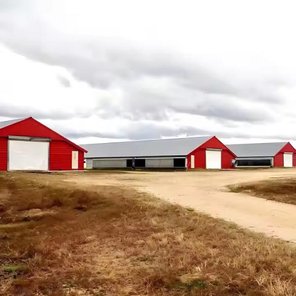 Quality Industrial Steel Structure Shed , Light Frame Steel Houses Easy Installation for sale