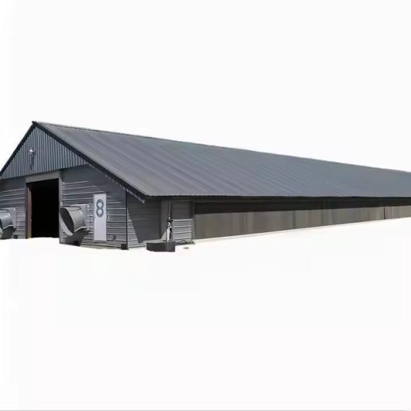 Quality Prefab Steel Structure Chicken House Building , Light Steel Fabricated Building for sale