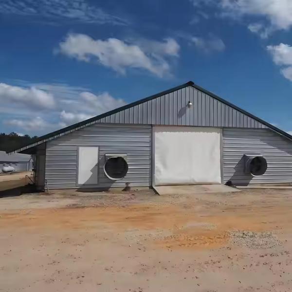 Quality Prefab Steel Structure Chicken House Building , Light Steel Fabricated Building for sale