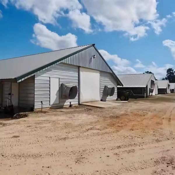 Quality Prefab Steel Structure Chicken House Building , Light Steel Fabricated Building for sale