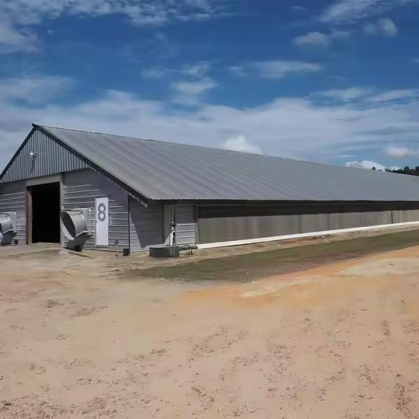 Quality Prefab Steel Structure Chicken House Building , Light Steel Fabricated Building for sale