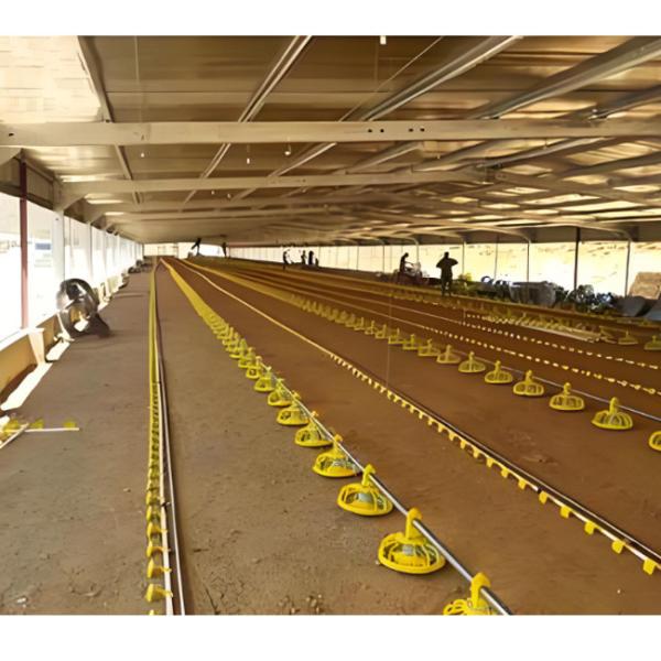 Quality Prefab Automatic Steel Structure Chicken House / Chicken Coop Steel Frame House for sale