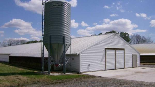 Quality Modern Lightweight Metal Frame Building Poultry Farm Structure for sale