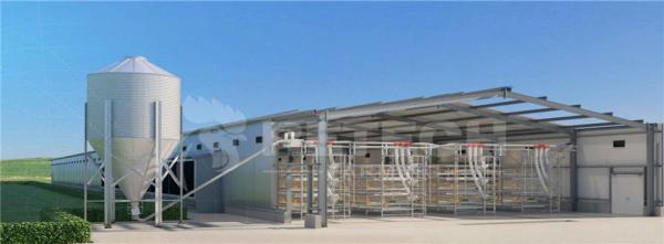 Quality Modern Lightweight Metal Frame Building Poultry Farm Structure for sale