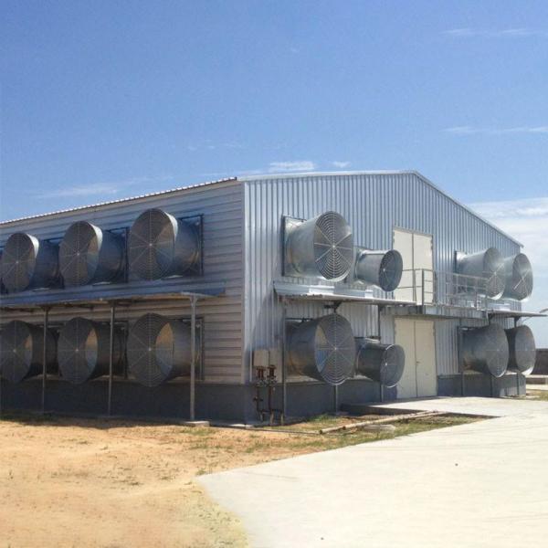 Quality Modern Lightweight Metal Frame Building Poultry Farm Structure for sale