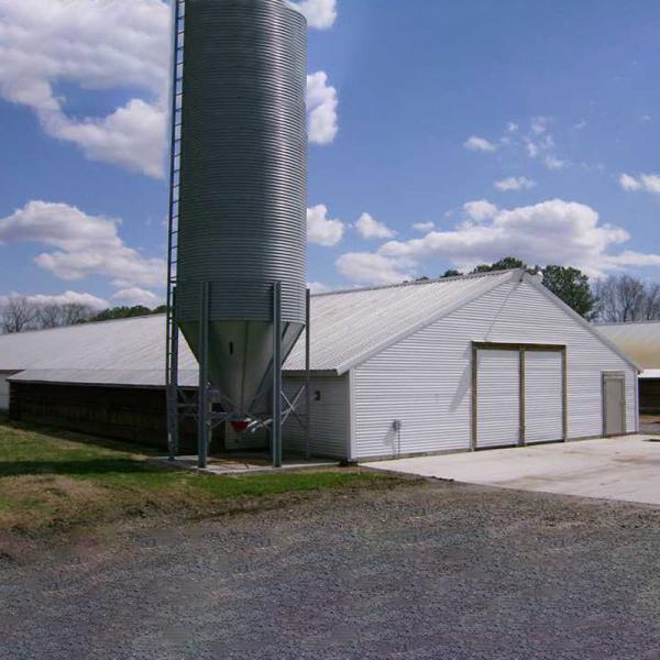 Quality Custom Modern Steel Frame House , High Strength Metal Chicken House for sale