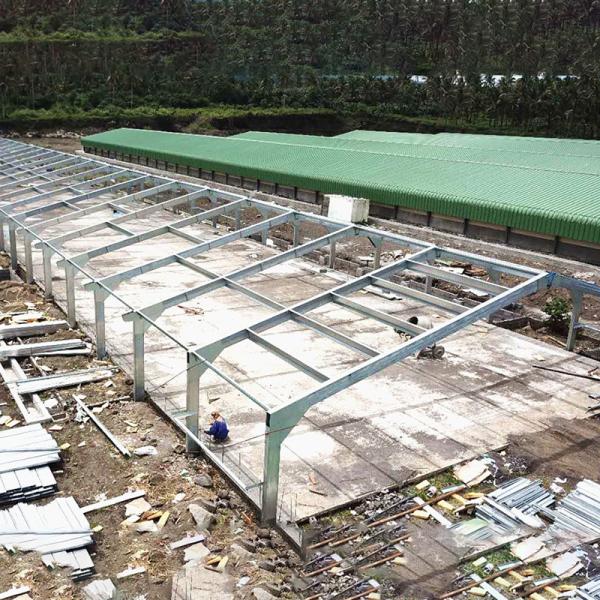 Quality Custom Modern Steel Frame House , High Strength Metal Chicken House for sale