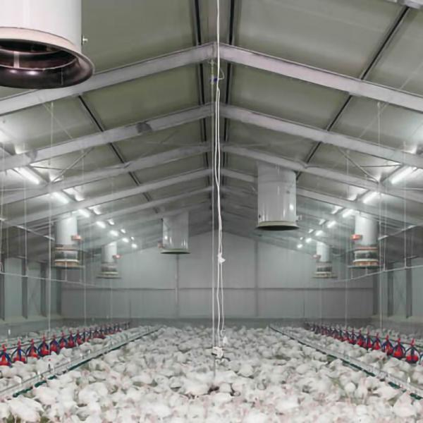 Quality Custom Modern Steel Frame House , High Strength Metal Chicken House for sale