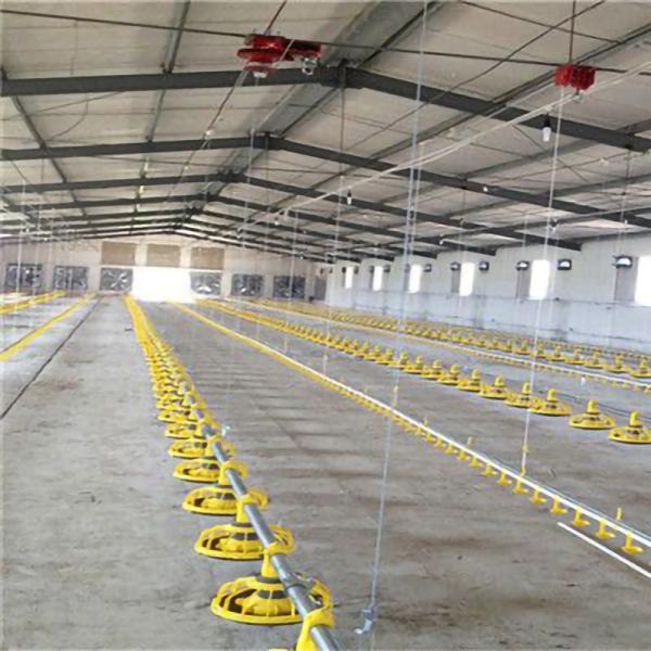 Quality Custom Modern Steel Frame House , High Strength Metal Chicken House for sale