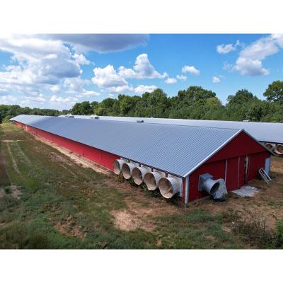 China Q235B Q355B Steel Structure Chicken House , Economical Prefab Steel Structure Building for sale