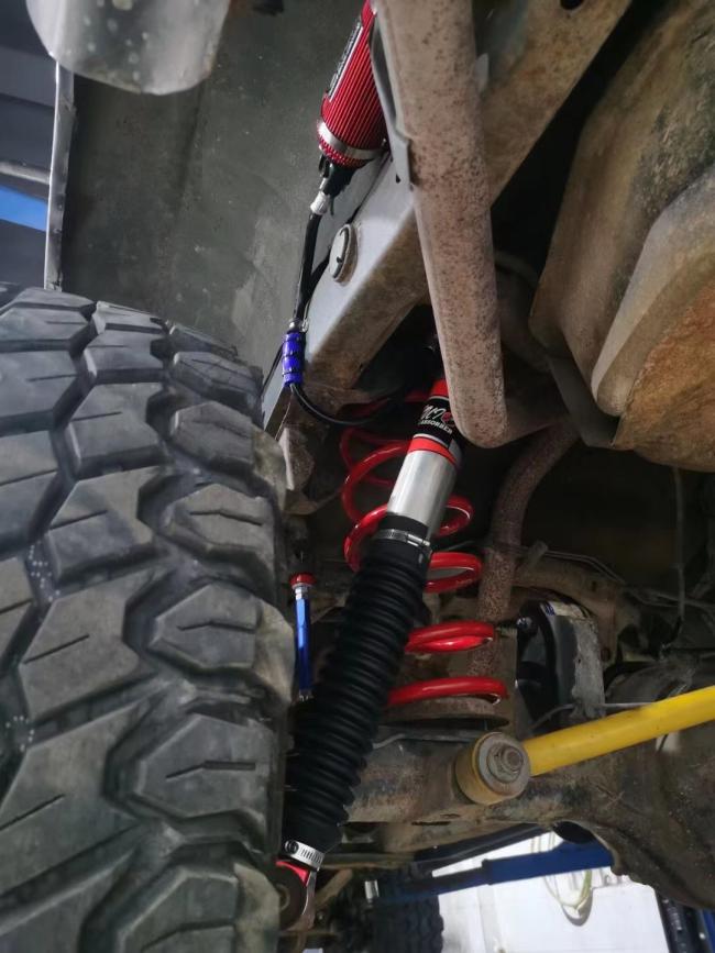 Shock absorber color options