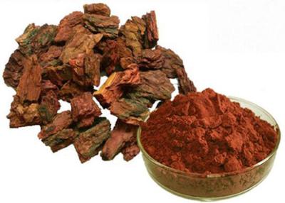 China Pine Bark Extract Proanthocyanidins 95% , Grape Seed Extract Powder CAS 84929-27-1 for sale