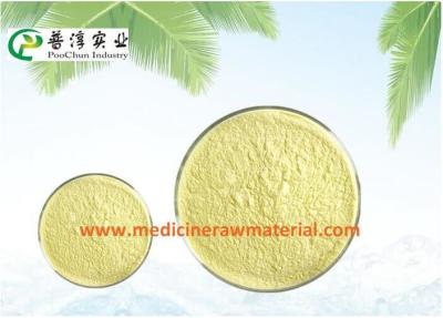 China Natural Sophora Japonica Extract , Pure Plant Extracts 95% Quercetin Antioxidant for sale