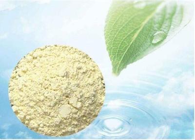 China 2,3 - Naphthalic Anhydride CAS 716-39-2 Organic Intermediates For Drugs Synthesis for sale