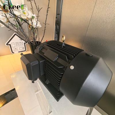 China 6 Poles Permanent Magnet Motor with High Efficiency >95% and Insulating Resistance 100Mohm Min 500Vdc for Industrial Applications for sale