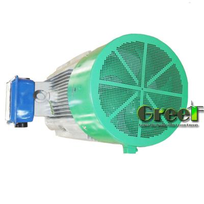 China 3 Phase AC Permanent Magnet Generator with IP67 Protection and 2 to 48 Pole for Renewable Energy Projects for sale