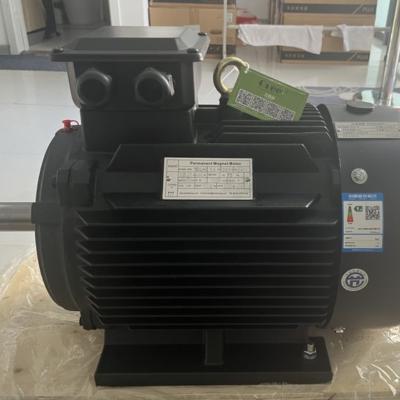 China IP54 Rated Permanent Magnet Motor 24V 1140V Voltagerating Featuring Neodymium Magnet Suitable for Precision Control and Automation Systems for sale