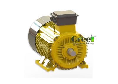 China Brushless Permanent Magnet Alternator , Water Turbine Electric Generator for sale