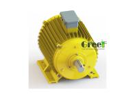 China AC Synchronous NdFeB Magnet Alternator Generator Horizontal for sale