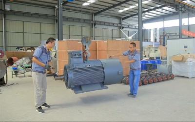 중국 5kw 10kw 50kw 200rpm 500rpm 3 단계 AC 저속 영구 자석 발전기 판매용