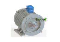 China IP54 Low Rpm NdFeB Permanent Magnet Generator for sale