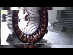 Fabbrica a magnete permanente del generatore