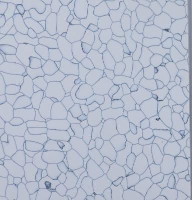 Cina Protezione ESD Pavimento antistatico 600x600 Pavimento di plastica 1.8mm-3.0mm in vendita