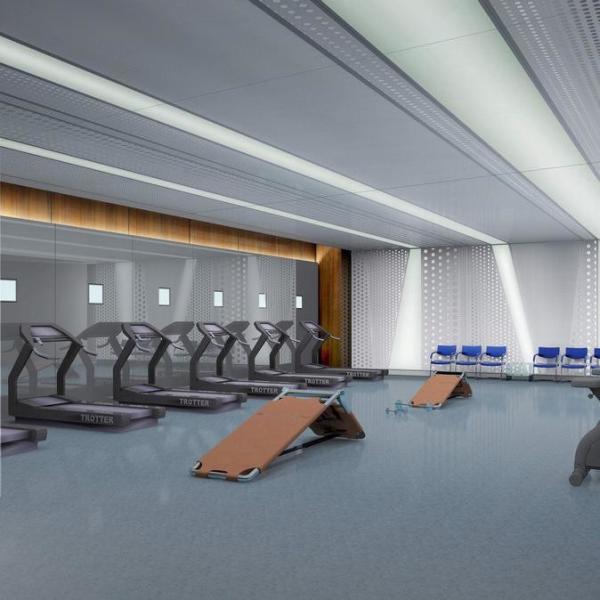 Feuerdichtes 8mm Gummi Fußboden Grau 6mm Gummi Gym Fußboden für den Keller