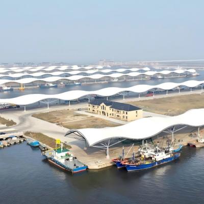 China Professional PTFE tensile membrane roofing for national speed skating center for sale