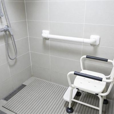 China Relle Heavy Duty Bathroom Grab Bar, Wall Mounted Handrail for Bathtub for sale