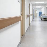 Quality Relle ADA-Compliant Wood Effect Corridor Handrail, Impact-Resistant for sale