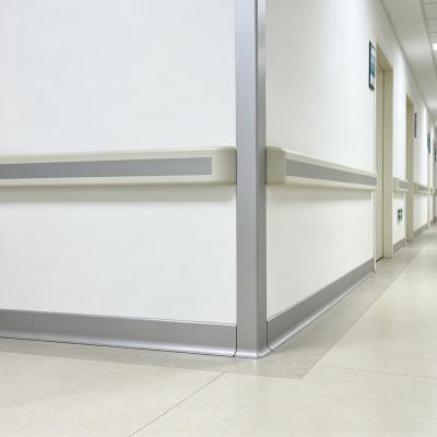 China Relle Medical-Grade Wall Corner Protection Strip for sale