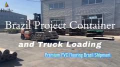 Brazil Project Container and Truck Loading