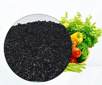 Quality 100% Water Soluble Humic Acid 70% Fertilizer Potassium Humate Powder Shiny Super Grade for sale
