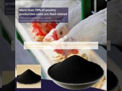 Black Sodium Humic Acid For Aquaculture Shrimp / Fish / Crab