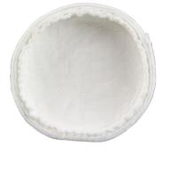 China PTFE Membrane Waterproof Polyester Filter Bag 1200 Mesh for sale
