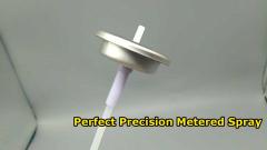 Metered aerosol valve