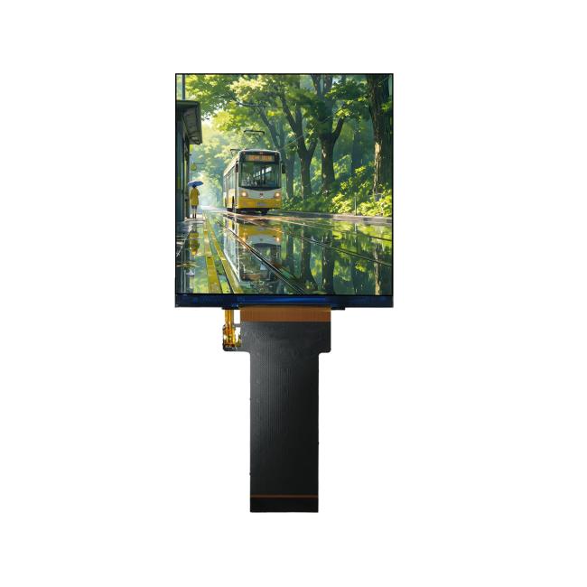 YVO034WVGA-X01 3.4 inch Square TFT LCD Module technical drawing and dimensions