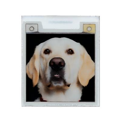 China 1.54 Inch E Paper Display 200×200 Resolution 24pin Ultra Low Power E Ink Display for sale