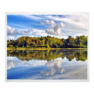 China 17 Inch SXGA Resolution TFT LCD Panel with LVDS Interface for Industrial Display Screen for sale