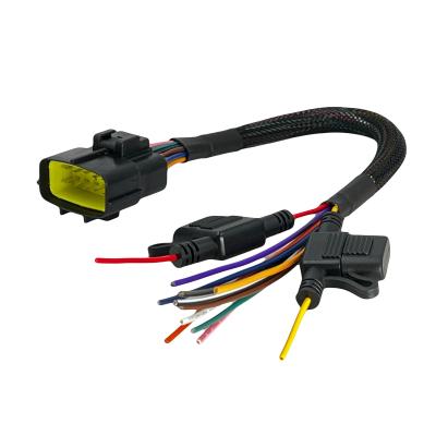 China 12V/24V BAIC Car Fitment Custom Wiring Harness With TE 12PIN Connector And Fuse for sale