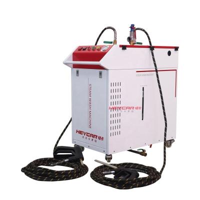 China Customized Voltage 220v 380v High Pressure Dry and Wet Steam Car Wash Machine for Auto Detailing Customer's Request for sale