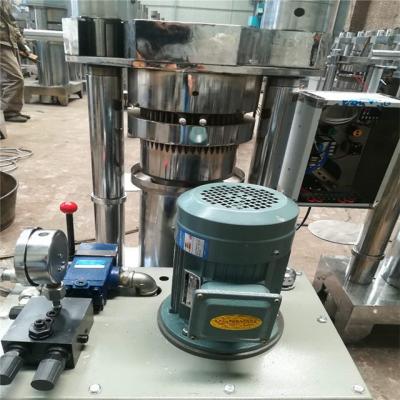 China Mango Sun Flower Seeds Oil Press with Smart Automatic Design and Cold Hot Pressing Machine for sale