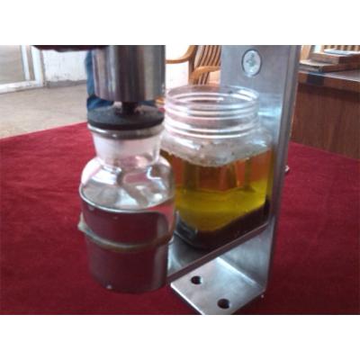 China Home Oil Processing Machine for Healthy Cooking Extract Oil from Tea Seed/Sesame/Peanut for sale