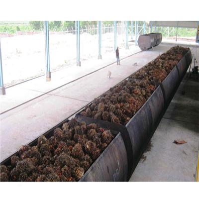 China Palm Oil Processing Mill Automatic Palm Kernel Expeller Machine for Bunch Threshing at 48m*12M*15M 30TPD for sale
