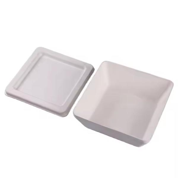 Quality Custom Biodegradable Lunch Box – Sushi, Burger & Salad Packaging for sale