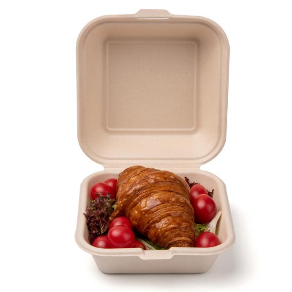 Quality Burger Box Customization Biodegradable Clam Box Fast Food Burger Box for sale