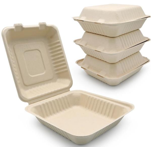 Quality Customized hamburger clam shell biodegradable bamboo fast food container for sale