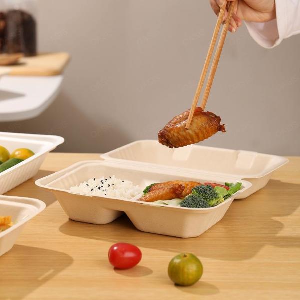 Quality Biodegradable takeaway food packaging bento lunch boxes fast food takeaway for sale